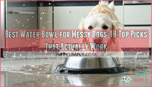 Best Water Bowl for Messy Dogs: 18 Top Picks That Actually Work