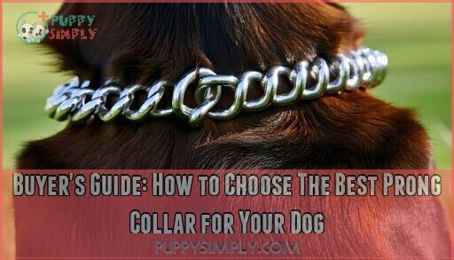 Best Prong Collar for Dogs: 2025 Reviews & Training Guide
