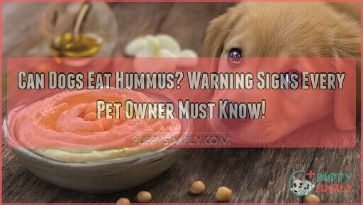 Can Dogs Eat Hummus? Warning Signs Every Pet Owner Must Know!