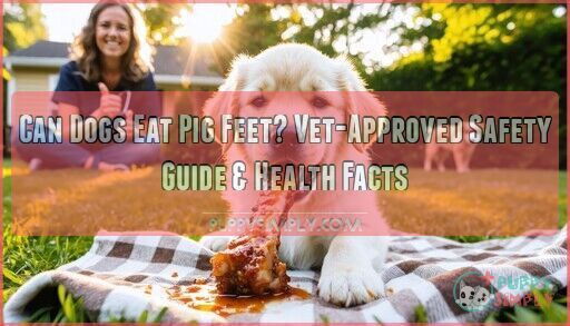 Can Dogs Eat Pig Feet? Vet-Approved Safety Guide & Health Facts