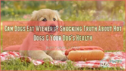 Can Dogs Eat Wieners? Shocking Truth About Hot Dogs & Your Dog’s Health