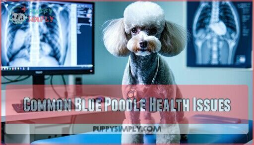 Blue Poodle: Rare Beauty, Health Facts & Care Guide (2025)