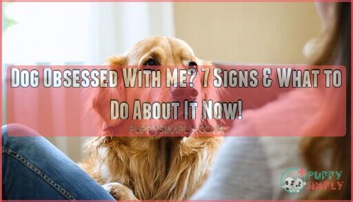 Dog Obsessed With Me? 7 Signs & What to Do About It Now!