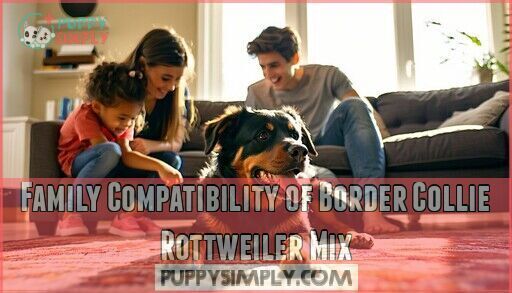Border Collie Rottweiler Mix: Complete Breed Guide & Family Tips