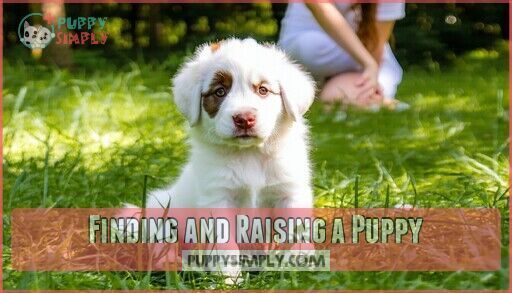 Great Pyrenees Pitbull Mix: Complete Guide to This Unique Hybrid