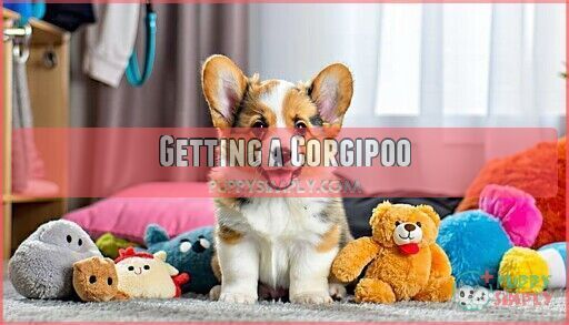 Corgipoo: Complete Guide to The Corgi Poodle Mix, Traits, Care & More