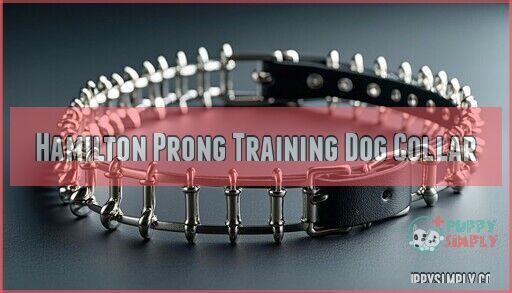 Best Prong Collar for Dogs: 2025 Reviews & Training Guide