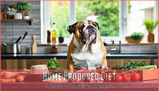 Best Diet for a Bulldog: Complete Nutrition Guide for 2025