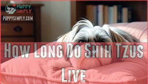 How Long Do Shih Tzu Live: Complete Lifespan Guide & Care Tips