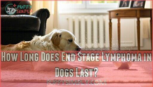 Dog Lymphoma When to Euthanize: Signs It's Time to Say Goodbye