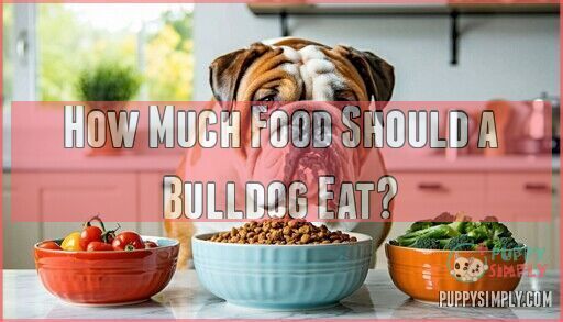 Best Diet for a Bulldog: Complete Nutrition Guide for 2025
