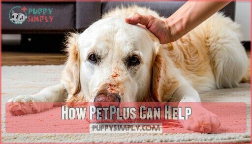 Specks of Blood in Dog Vomit: Causes & What to Do (Vet Guide)