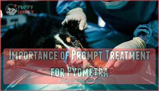 Pyometra Surgery Cost and Survival Rate: What Pet Owners Must Know