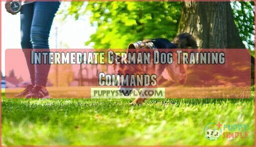 Ultimate German Dog Training Commands List: 70+ Essential Words (2025)