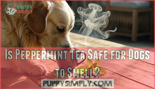 Can Dogs Have Peppermint Tea? Vet-Approved Safety Guide 2025