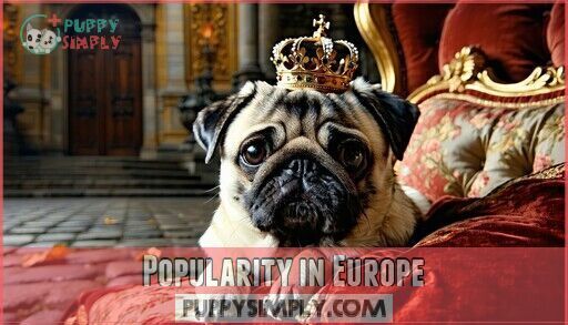 Pug Selective Breeding: The Dark Truth Behind Their Adorable Faces