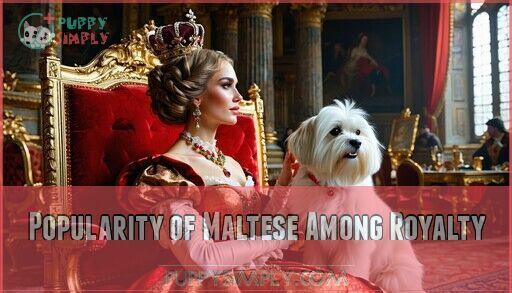 Maltese Lifespan Facts You Should Know: Health Tips & Care Guide