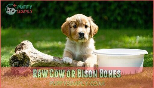 Can Dogs Eat Pork Femur Bones? Risks & Safe Alternatives Explained