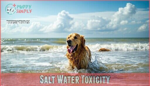 Dog Acts Weird After Swimming: 7 Alarming Signs & What to Do Now
