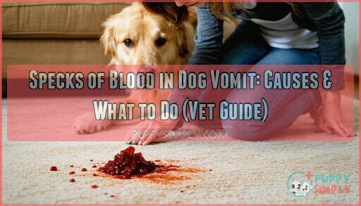 Specks of Blood in Dog Vomit: Causes & What to Do (Vet Guide)