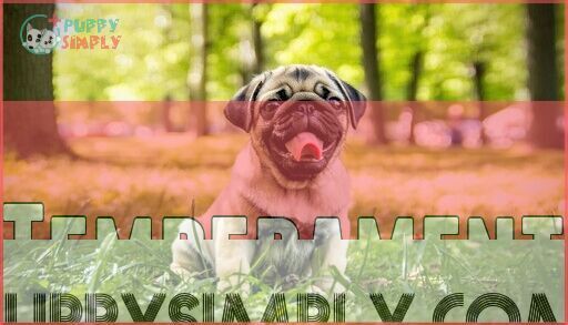 Pug Lab Mix: Pugador - the Playful Pup That Steals Hearts