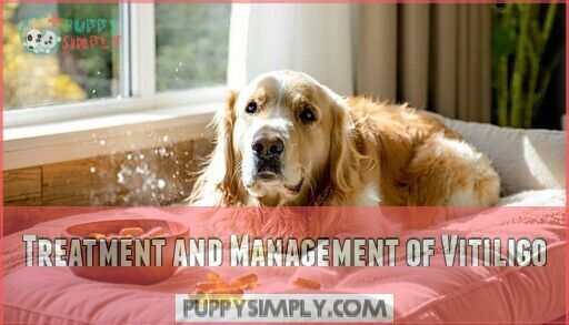 White Spot on Dogs Nose: 7 Causes & When to Worry (Vet Guide)