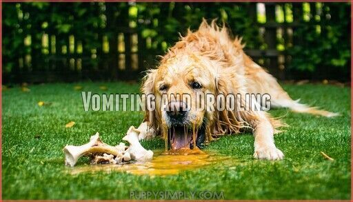 Can Dogs Eat Pork Femur Bones? Risks & Safe Alternatives Explained