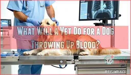 Specks of Blood in Dog Vomit: Causes & What to Do (Vet Guide)