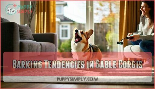 Sable Corgi: Traits, Grooming, Price & Training Tips for This Rare Pup