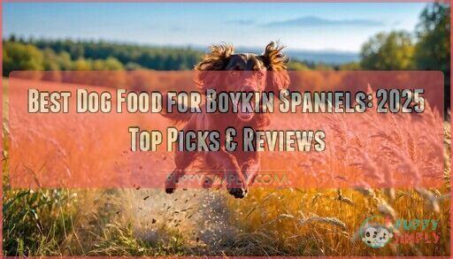 Best Dog Food for Boykin Spaniels: 2025 Top Picks & Reviews