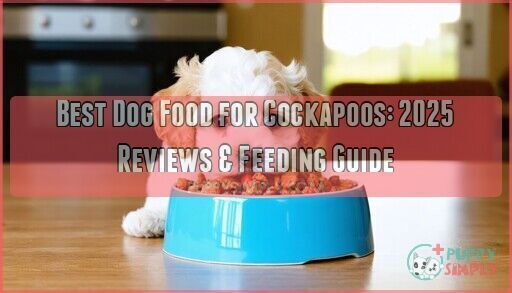 Best Dog Food for Cockapoos: 2025 Reviews & Feeding Guide