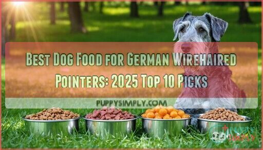 Best Dog Food for German Wirehaired Pointers: 2025 Top 10 Picks