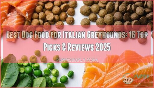 Best Dog Food for Italian Greyhounds: 16 Top Picks & Reviews 2025