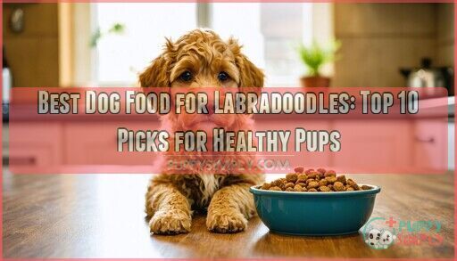 Best Dog Food for Labradoodles: Top 10 Picks for Healthy Pups