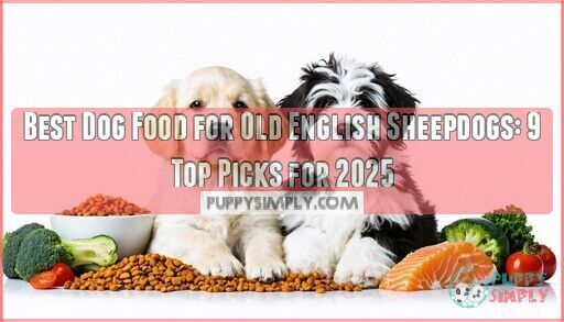 Best Dog Food for Old English Sheepdogs: 9 Top Picks for 2025