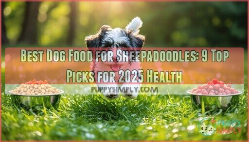 Best Dog Food for Sheepadoodles: 9 Top Picks for 2025 Health