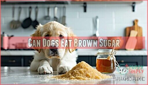 Can Dogs Eat Brown Sugar? Health Risks & Safety Guide