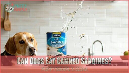 Can Dogs Eat Canned Sardines? Benefits, Risks, and How to Feed Safely