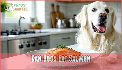 Can Dogs Eat Salmon? Benefits, Risks & Safe Feeding Tips