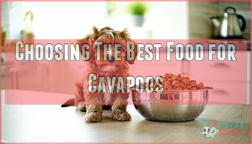 Best Dog Food for Cavapoos: Top 10 Picks for Happy, Healthy Pups (2025)