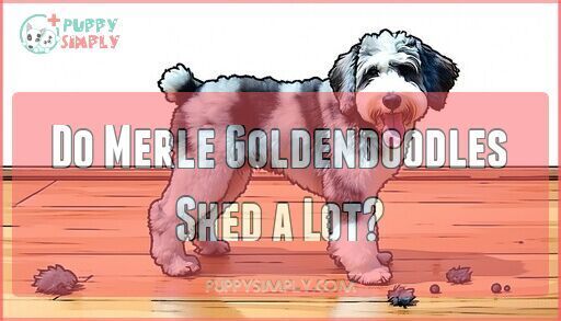 Merle Goldendoodle: Colors, Genetics & Health Risks Explained