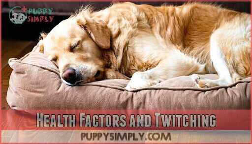 Dog Twitching in Sleep: Normal or Worrying? Vet Explains When to Act