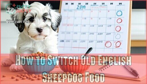 Best Dog Food for Old English Sheepdogs: 9 Top Picks for 2025