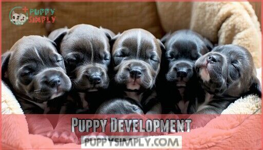 Pitbull Lifespan: How Long Do Pitties Live? Care & Health Tips