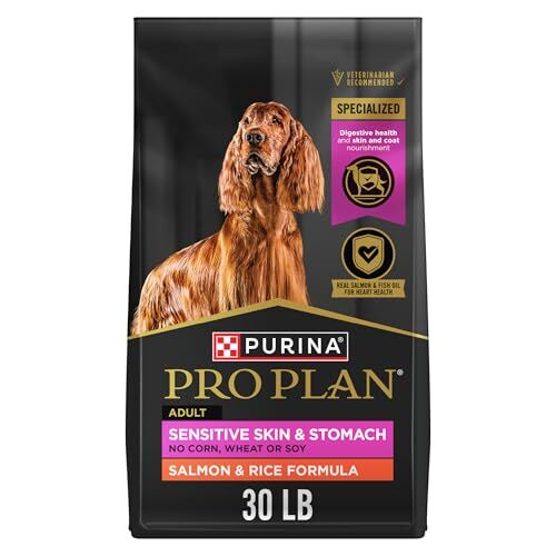 10 Best Dog Foods for Sensitive Stomachs (2026 Vet Guide)