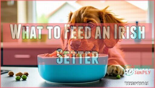 Best Dog Food for Irish Setters: 7 Top Picks (2025 Review)