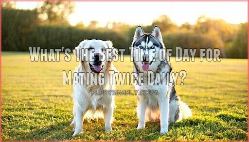 How Many Times Can a Male Dog Mate in a Day? (Vet's Advice)
