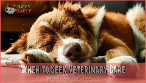 Dog Twitching in Sleep: Normal or Worrying? Vet Explains When to Act