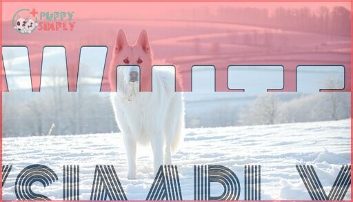 German Shepherd Colors: Complete Guide to All Coat Variations