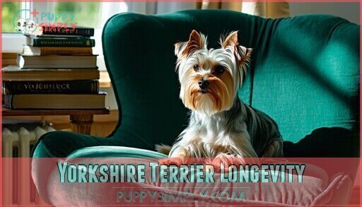 Yorkshire Terrier Lifespan: How Long Do Yorkies Live? (Guide 2025)